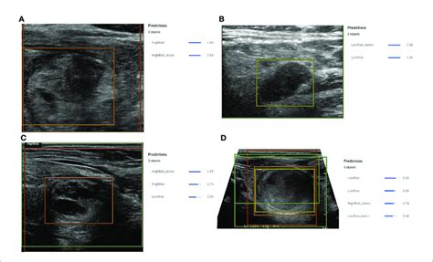 A Example Prediction From The Object Detection Model That Correctly Download Scientific