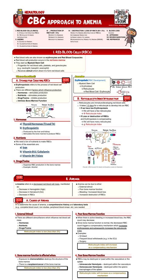 Ninja Nerd Medicine Lectures Notes And Illustrations