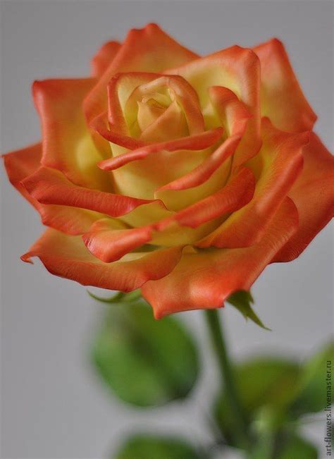 Пин от пользователя Samina Naz на доске 7__Orenge Flowers_اورنج پھول ...