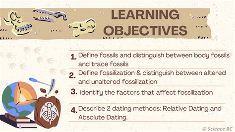 All About Fossils Science Bc
