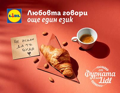 Lidl Brochure Booklet Projects Photos Videos Logos Illustrations And Branding Behance