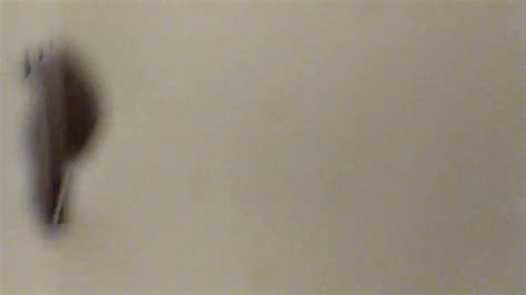 Free Turkish Bears Gay Porn Videos Xhamster