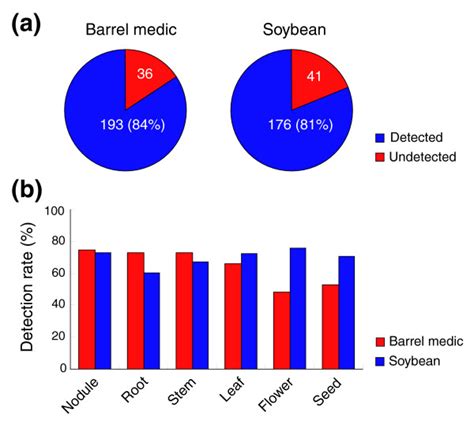 Tiling Microarray Detection Of The Predicted Genes In The 1 Mb Region