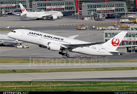 JA826J | Boeing 787-8 Dreamliner | Japan Airlines (JAL) | YANG WEI ...
