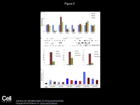 volume 167 issue 2 pages e10 october 2016 ppt download