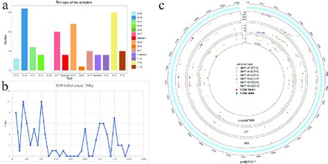 A Type And Number Of Individual Variants In The Entire Sample B Download Scientific