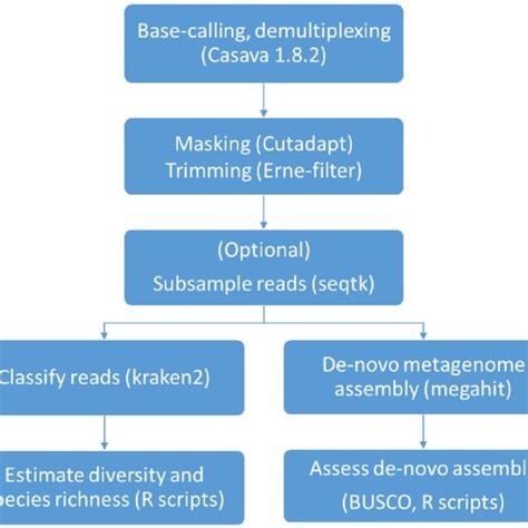 workflow of the main bioinformatics analysis performed in the present