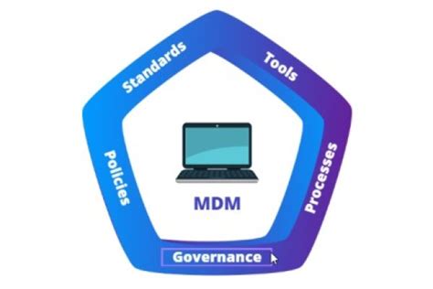 Mdm Implementation Service D3clarity