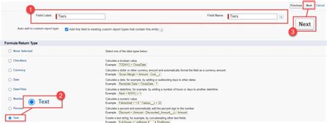 Salesforce IF Function