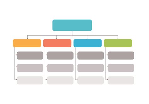 Infographic Flowchart Workflow Diagram Organization Chart Vector