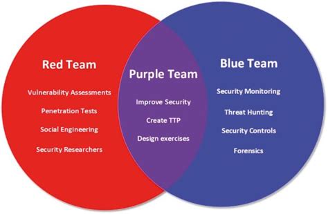 Buzzword Red Blue Purple Team
