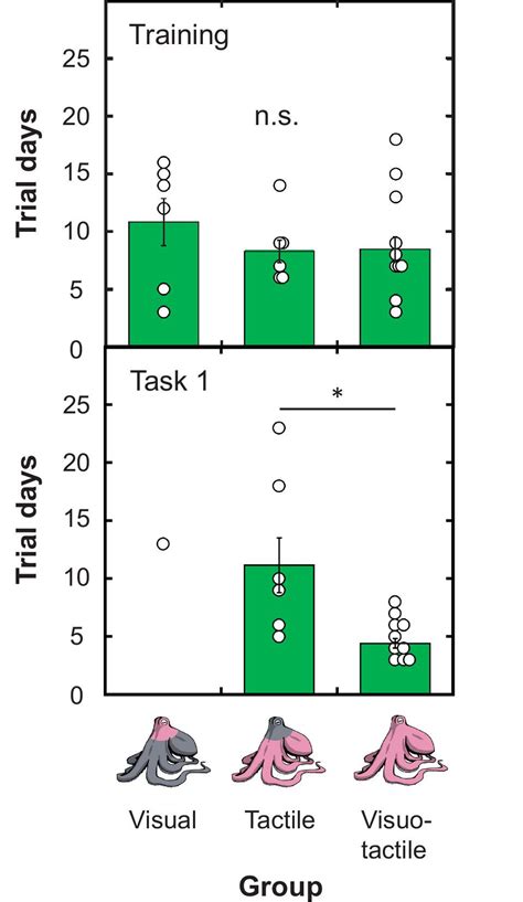 Cross Modal Object Recognition And Reliability Between Visual And Tactile Senses In Octopus