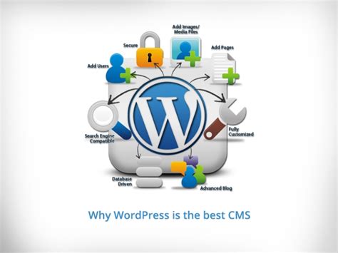 Why Wordpress Is The Best Cms Ultimez Technology
