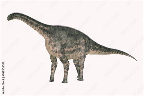 Cetiosaurus Giant Sauropod Cetiosaurus Was A Herbivorous Sauropod
