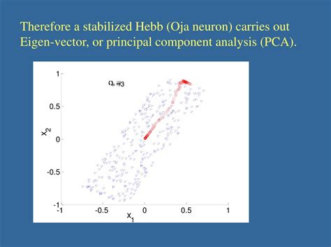 Ppt Unsupervised Learning The Hebb Rule Neurons That Fire Together