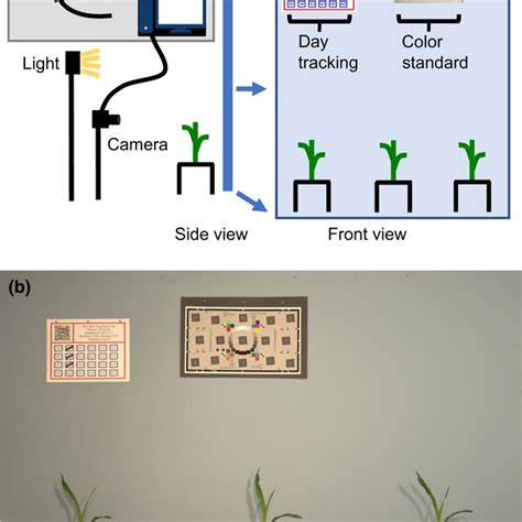 Schematic Of The Rgb Imaging System A The Imaging System Consisted Download Scientific
