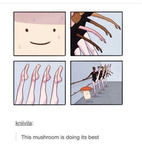 Pin On Funny Stuff