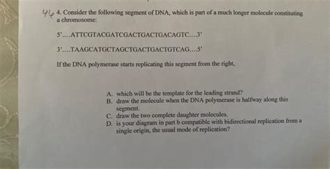Solved 46 4. Consider the following segment of DNA, which is | Chegg.com