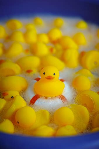 비누 거품과 생명 벨트 생존 고무 링 한 노란색 오리로 살아남기 위해 고군분투 하는 물에 노란색 고무 오리의 그릇 0명에 대한 스톡 사진 및 기타 이미지 Istock