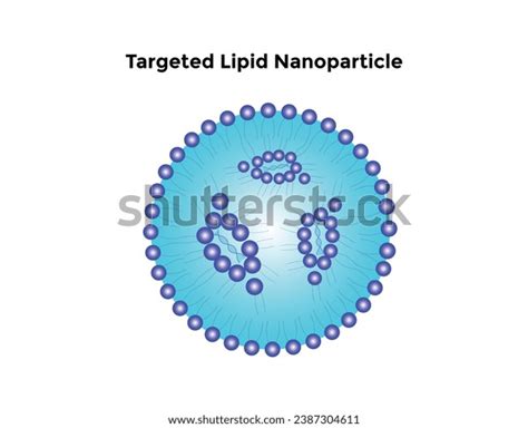Targeted Lipid Nanoparticle Science Design Vector Stock Vector Royalty Free