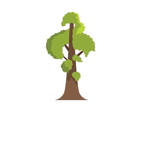 Tree Elevation Vector Art Icons And Graphics For Free Download