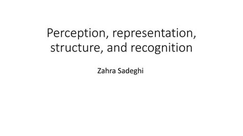 Perception Representation Structure And Recognition Pdf