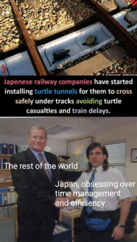 My Favorite Turtle Is The Dude From Finding Nemo Meme By Sproche Memedroid