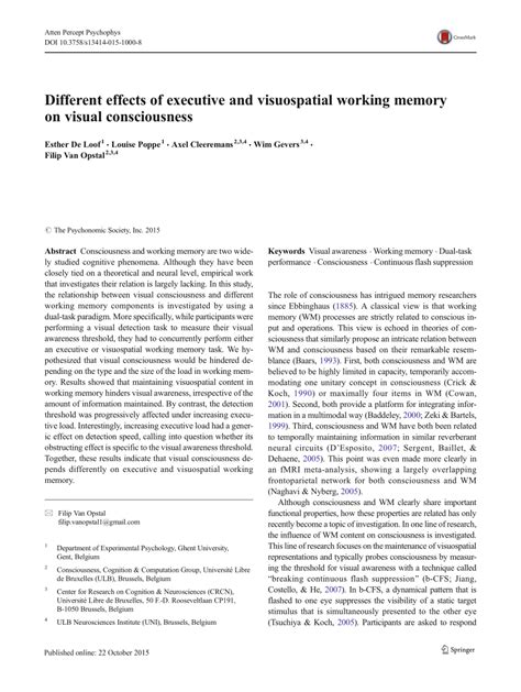 Pdf Different Effects Of Executive And Visuospatial Working Memory On Visual Consciousness
