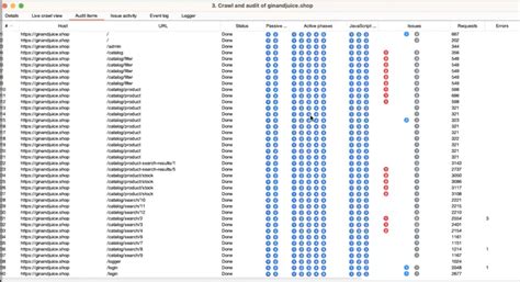 Burp Suite A Step By Step Guide For Using Scanner