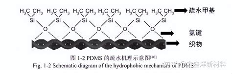 分享：甲基硅油（pdms）和含氢硅油的结构、特性及研究情况 知乎
