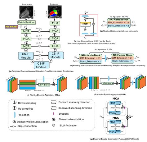 CAMS Convolution And Attention Free Mamba Based Cardiac Image Segmentation Abbas Khan
