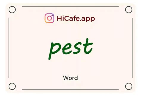 English Word Pest Meaning And Definition Hicafe