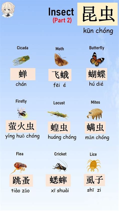 Insects In Chinese Literature At Myesha Litherland Blog