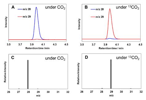 Figure S15 Data Obtained During Isotope Tracer Experiments Involving Download Scientific