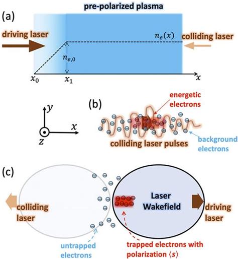 Spin Polarized Electron Beam Generation In The Colliding Pulse Injection Scheme Matter And