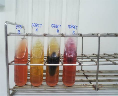 Metal Hydroxides Properties Solubility Applications2025