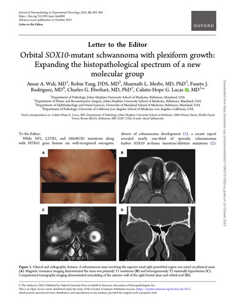 Pdf Orbital Sox10 Mutant Schwannoma With Plexiform Growth Expanding The Histopathological