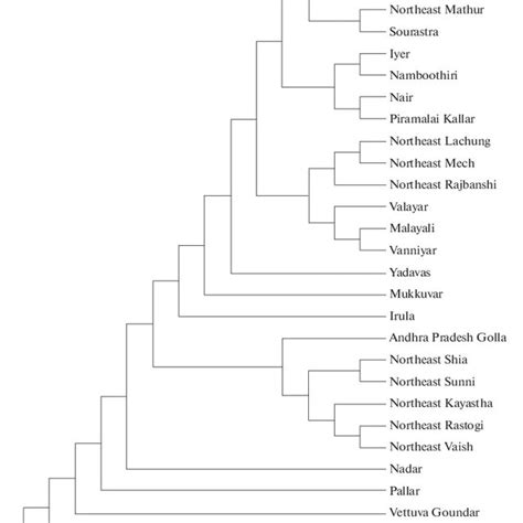 Neighbor Joining Dendrogram Showing Relatedness Between South Indian