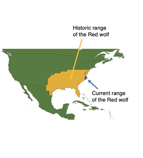 Red Wolf Habitat Map