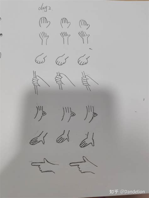 简笔画学习week1 知乎