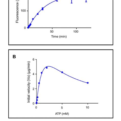 Polyphosphate Kinase Fluorescence Enzymatic Assay Using Dapi A Polyp Download Scientific
