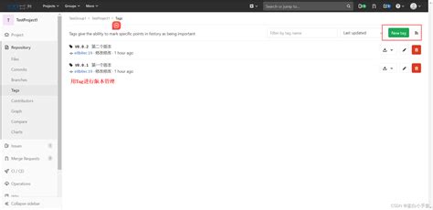 Gitlab 管理员设置 Csdn博客
