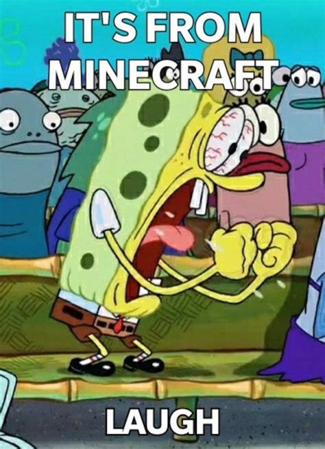 Posts Video But With Minecraft Sound Effects Over Normal Sounds Ironically R Dank Irony