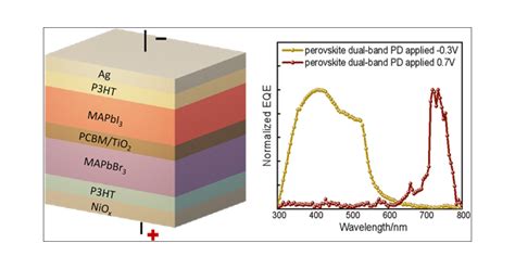 High Performance Perovskite Dual Band Photodetectors For Potential Applications In Visible Light