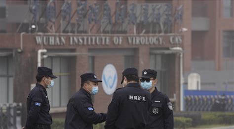 New Intel Points To A Lab Leak As Probable Origin Of The Pandemic American S Report