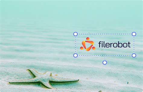 Filerobot Image Editor Demo
