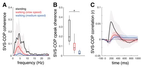 Correlation Analysis In Frequency And Time Domain For Coupling Between Download Scientific