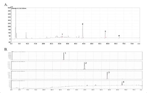 Hplc Pattern Analysis Of The Ginger Extract A Ginger Extract And B