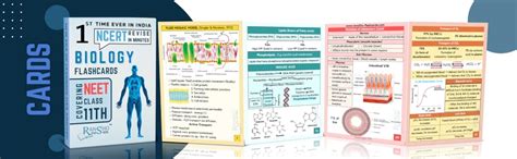 Ncert Based Neet Ug Biology Flashcards For Class 11th Rans2ho