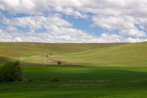 콘던 스톡 사진 및 일러스트 Istock